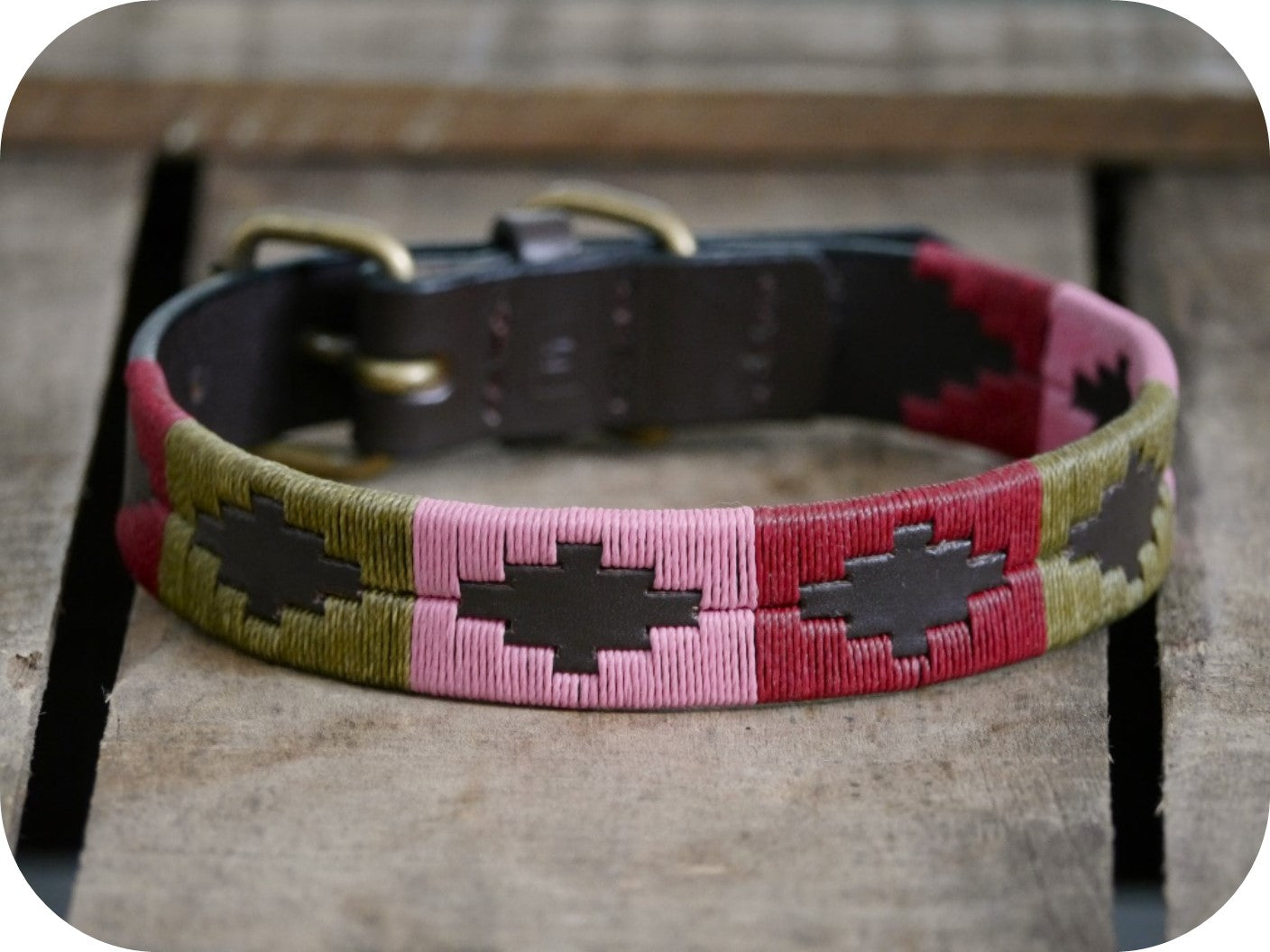 Bespoke dog collars and leads – pampeano