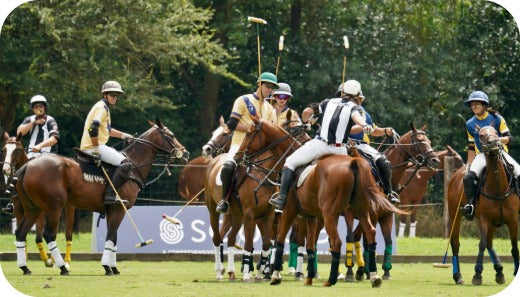 The Polo Effect: How the Sport Defined Aesthetic Codes & Brands – pampeano